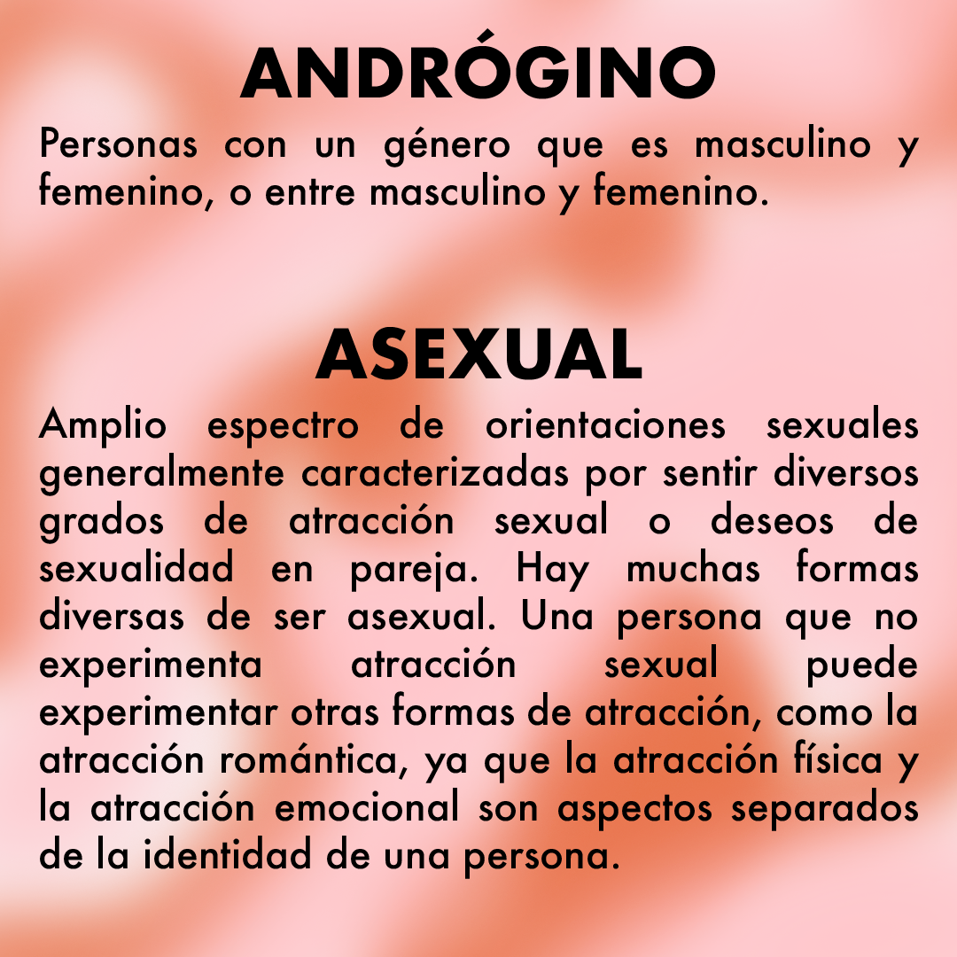 Glosario LGBTQIA+ – Somos Ruidosa