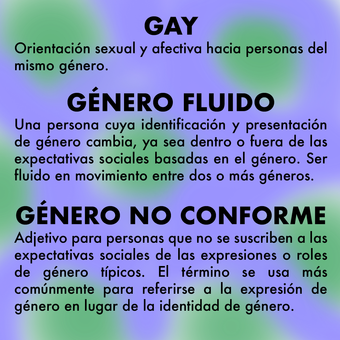 Glosario LGBTQIA+ – Somos Ruidosa